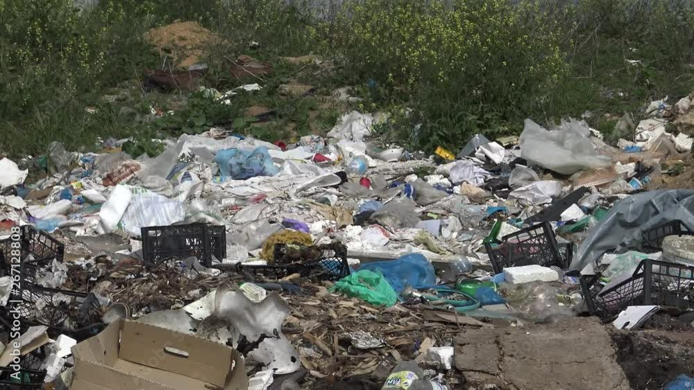 Heaps of plastic trash on the shore of the reservoir. Environmental ...