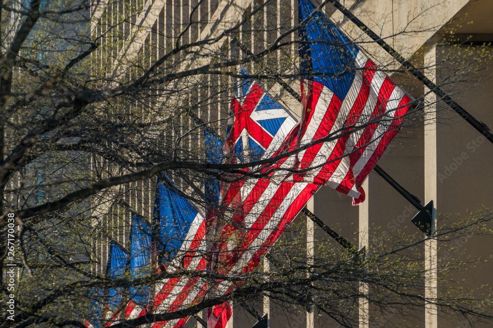 American Grand Union Flag flags, united states of america flag poles ...