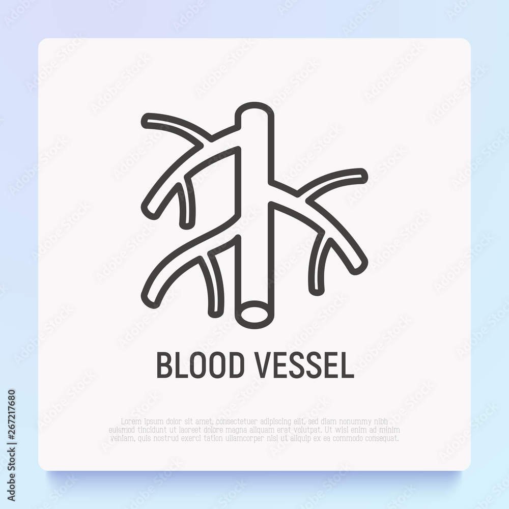 Blood vessel thin line icon. Modern vector illustration. Stock Vector ...