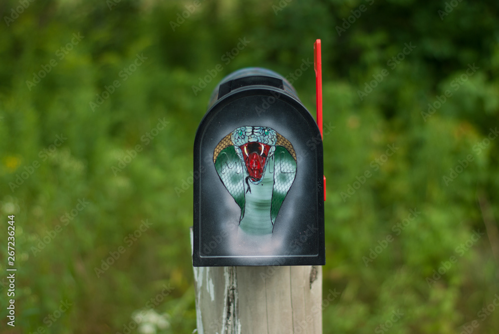 Rural mailbox painted with a Cobra design on the front and the body of ...