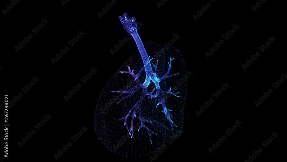Rotating 360 Degree Of Human Lungs Glowing Blue Light Particles Point