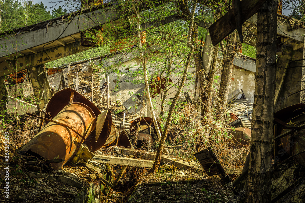 Abandoned farm overgrown with trees in Belarus Chernobyl exclusion zone ...