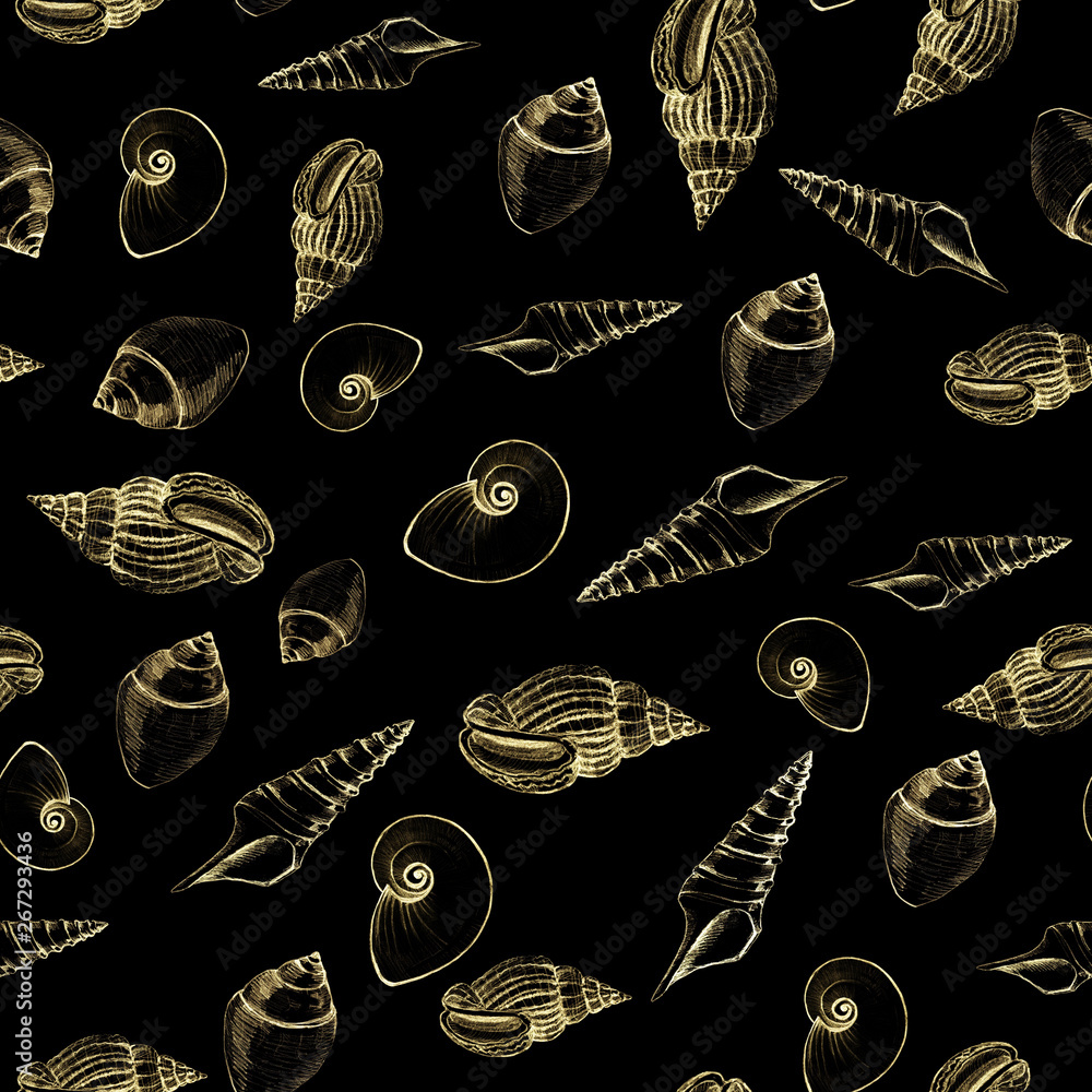 Seamless pattern of sea shells on black background. Manual graphics ...