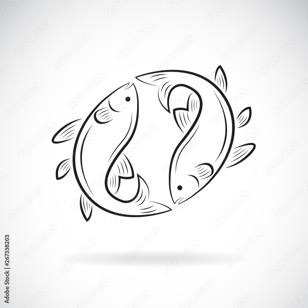 Vector of two fish design on white background. Aquatic animal. Fish ...