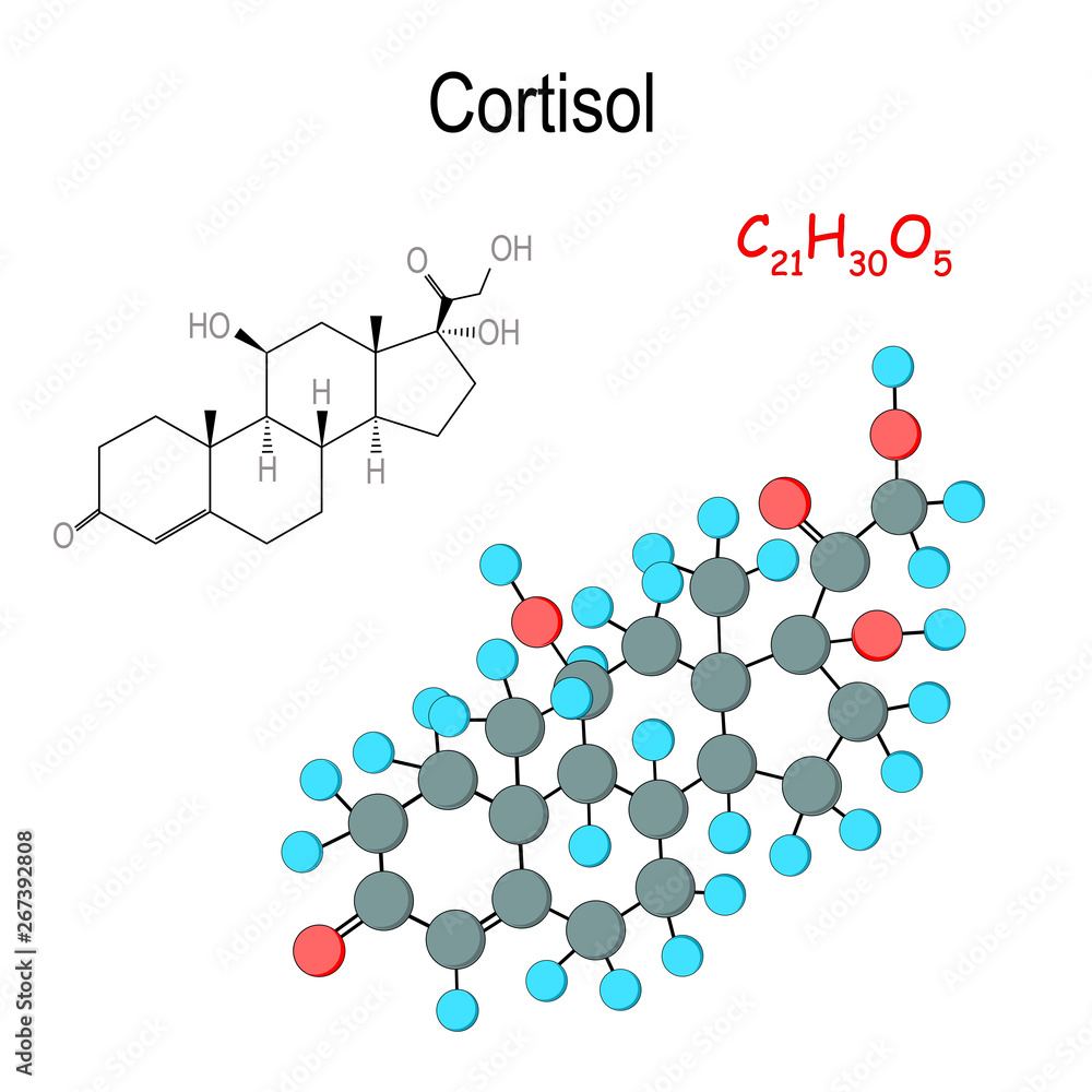Cortisol. Chemical structural formula and model of hormone molecule ...