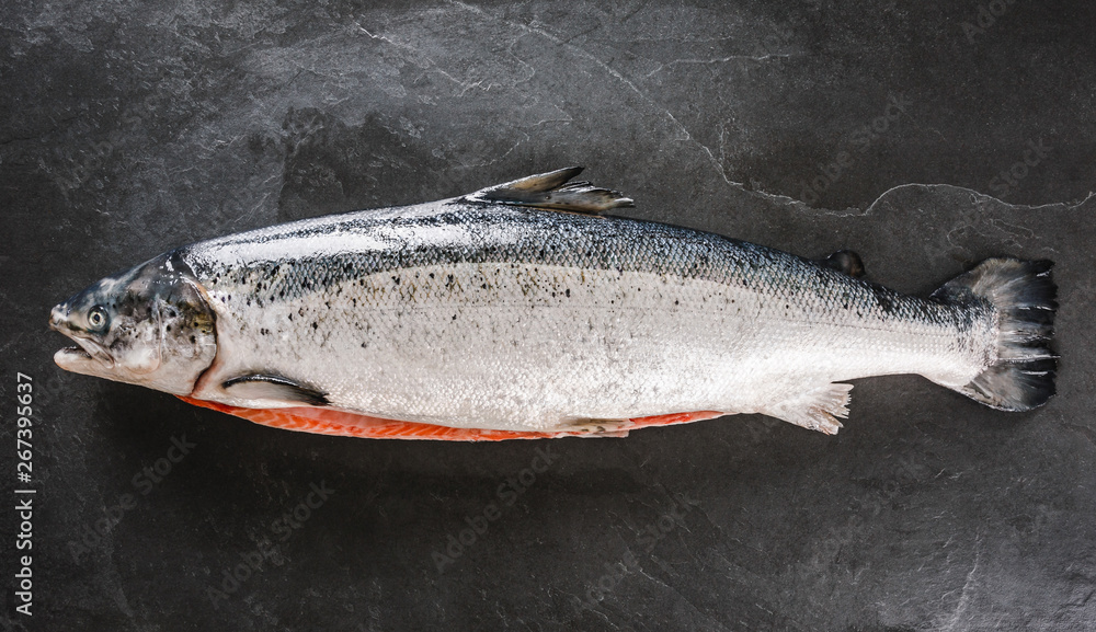 Fresh raw salmon red fish with spices on ice over dark stone background ...