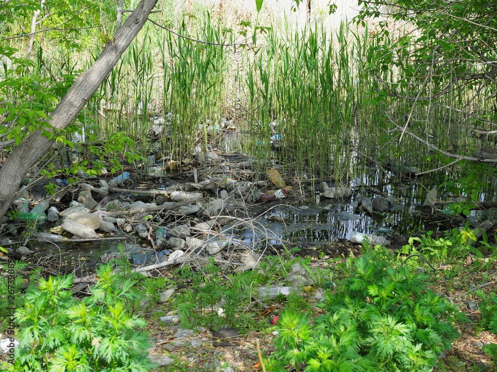 Plastic bottle waste in the forest. Plastic pollution concept Stock ...