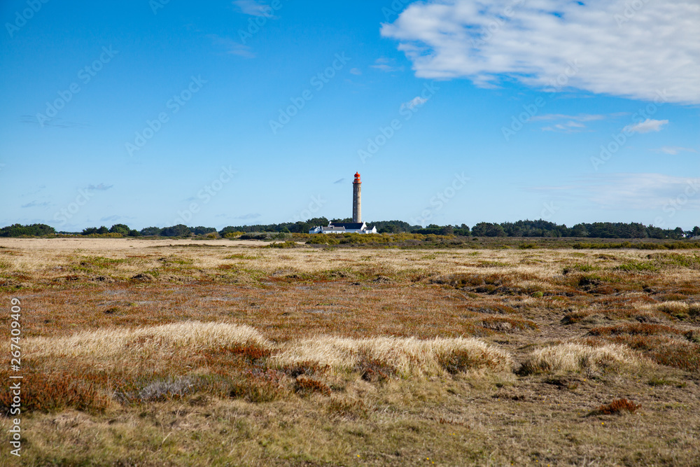 The Goulphar lighthouse of the famous Belle Ile en Mer island in France ...