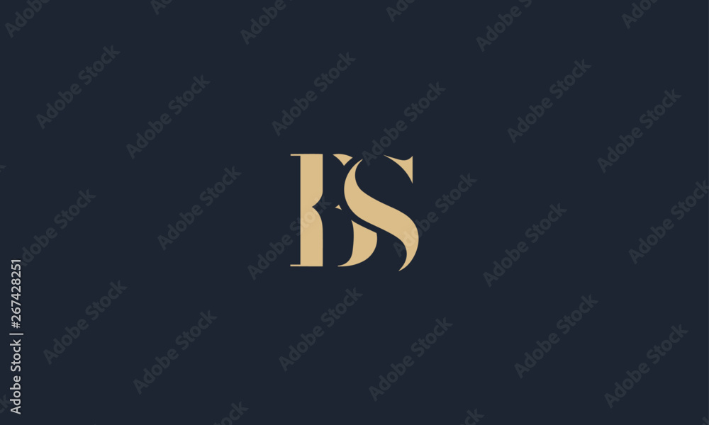 BS logo design template vector illustration Stock-Vektorgrafik | Adobe ...