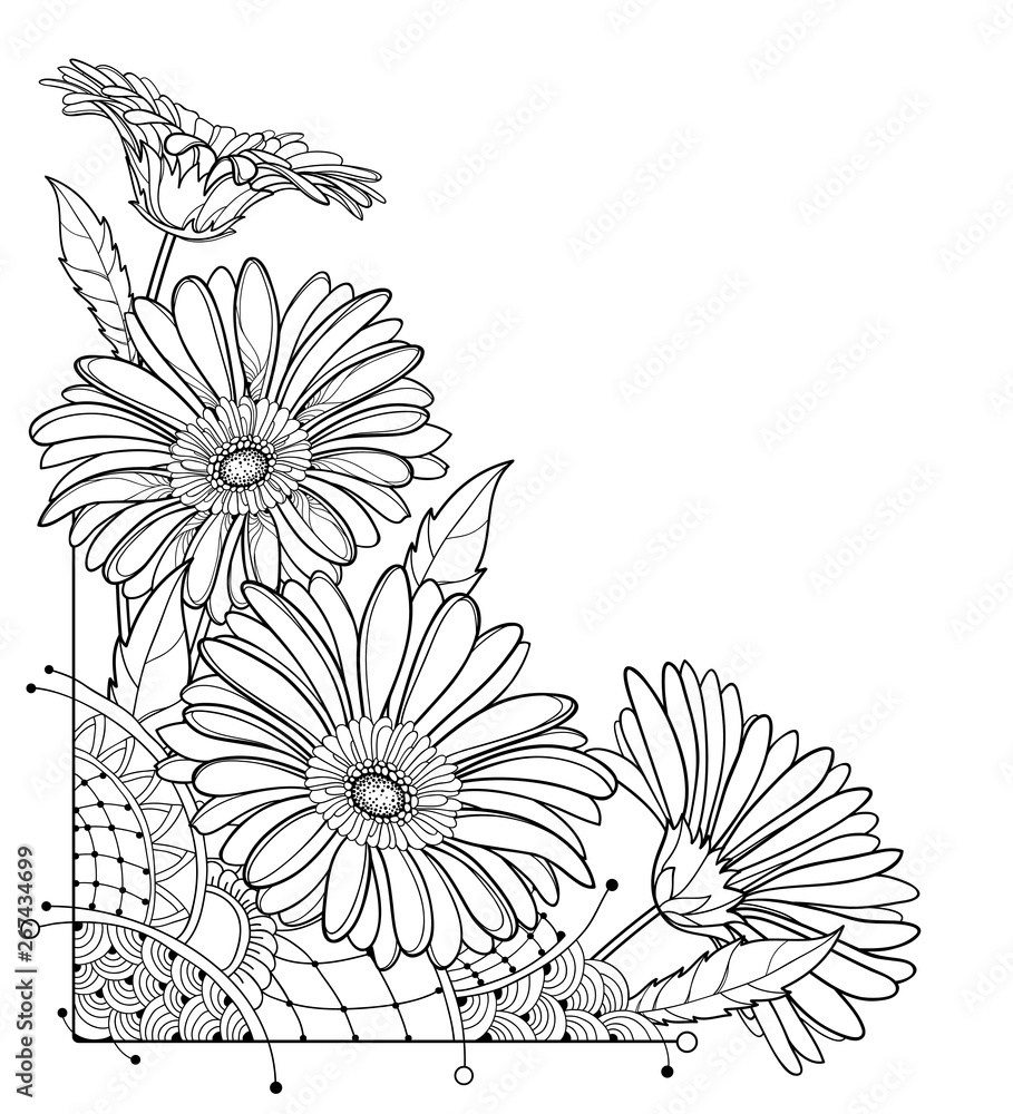 Gerber Daisy Outline