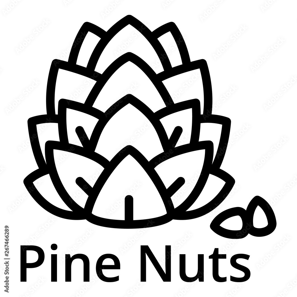 Pine nuts icon. Outline pine nuts vector icon for web design isolated ... Pine nuts icon. Outline pine nuts vector icon for web design isolated ...