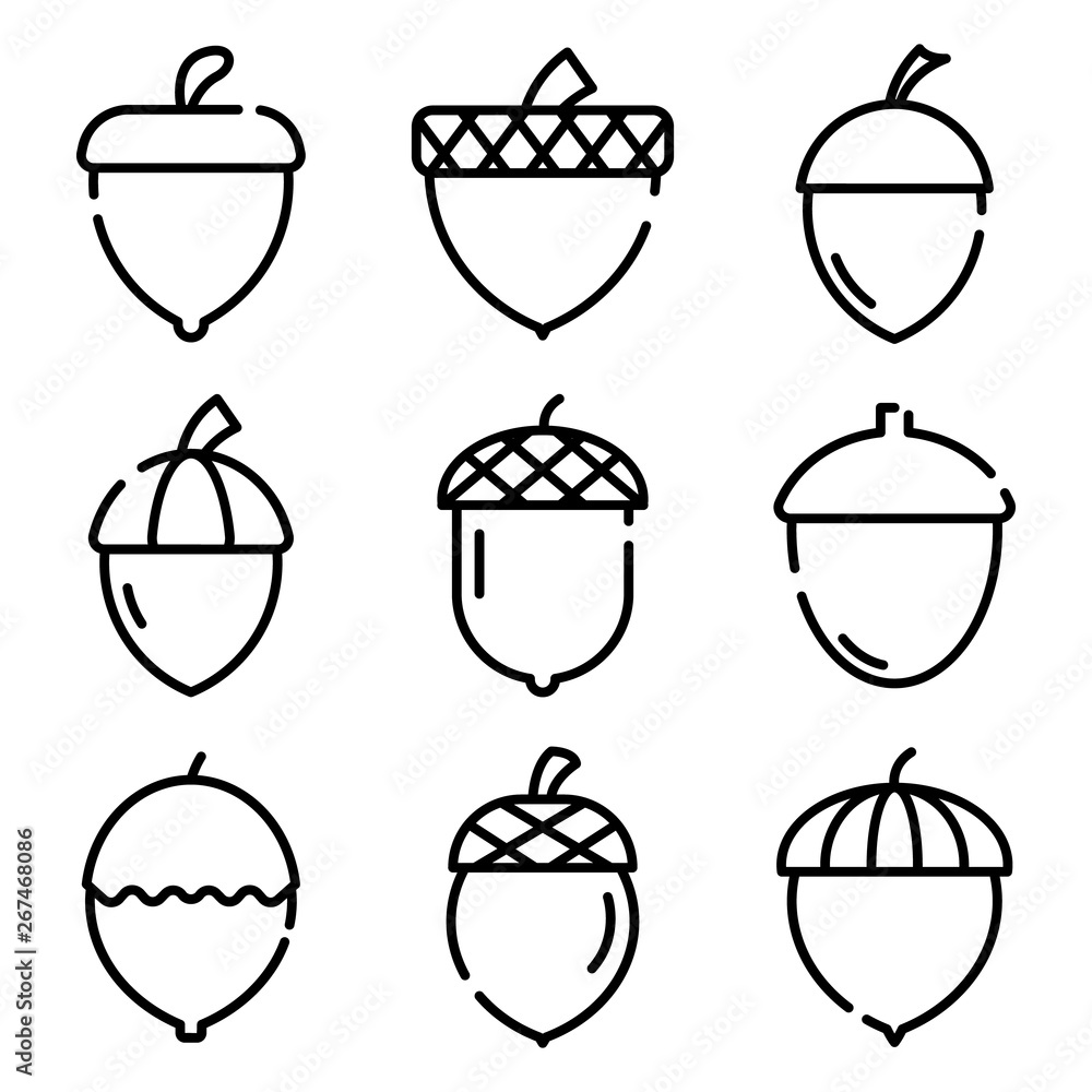 Acorn icons set. Outline set of acorn vector icons for web design ...