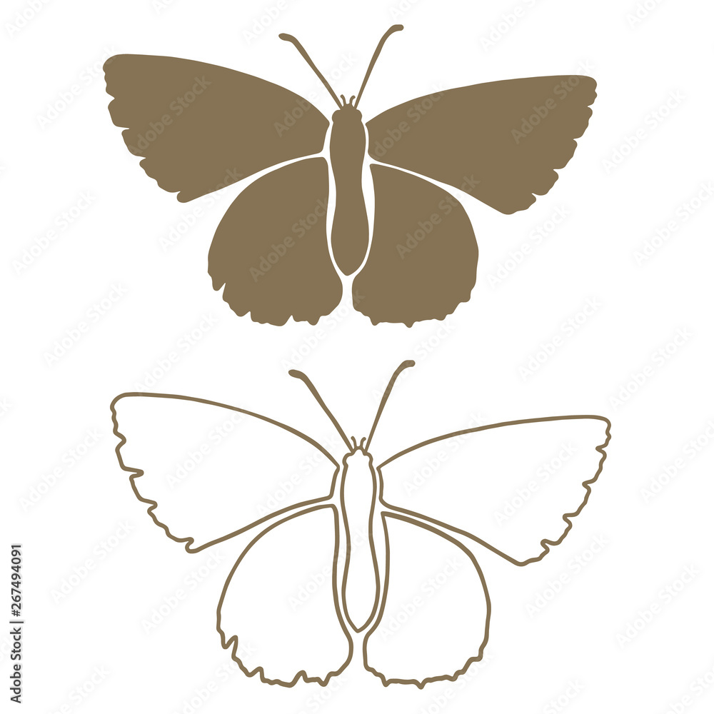 Cute moth silhouette line art cartoon vector illustration motif set ...