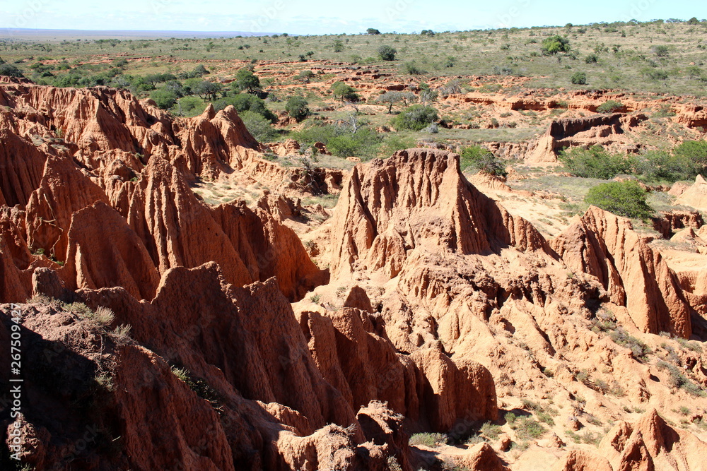 Foto de Serious soil erosion showing large gullies from water erosion ...