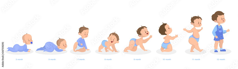 Baby growth process. From newborn to preschool child Stock Vector ...