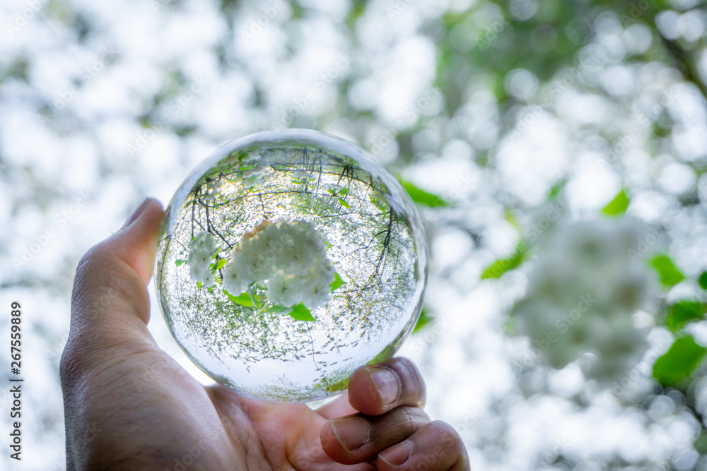 A hand holding a crystal ball for optical illusion. Known as an ...