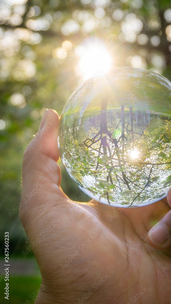 A hand holding a crystal ball for optical illusion. Known as an ...