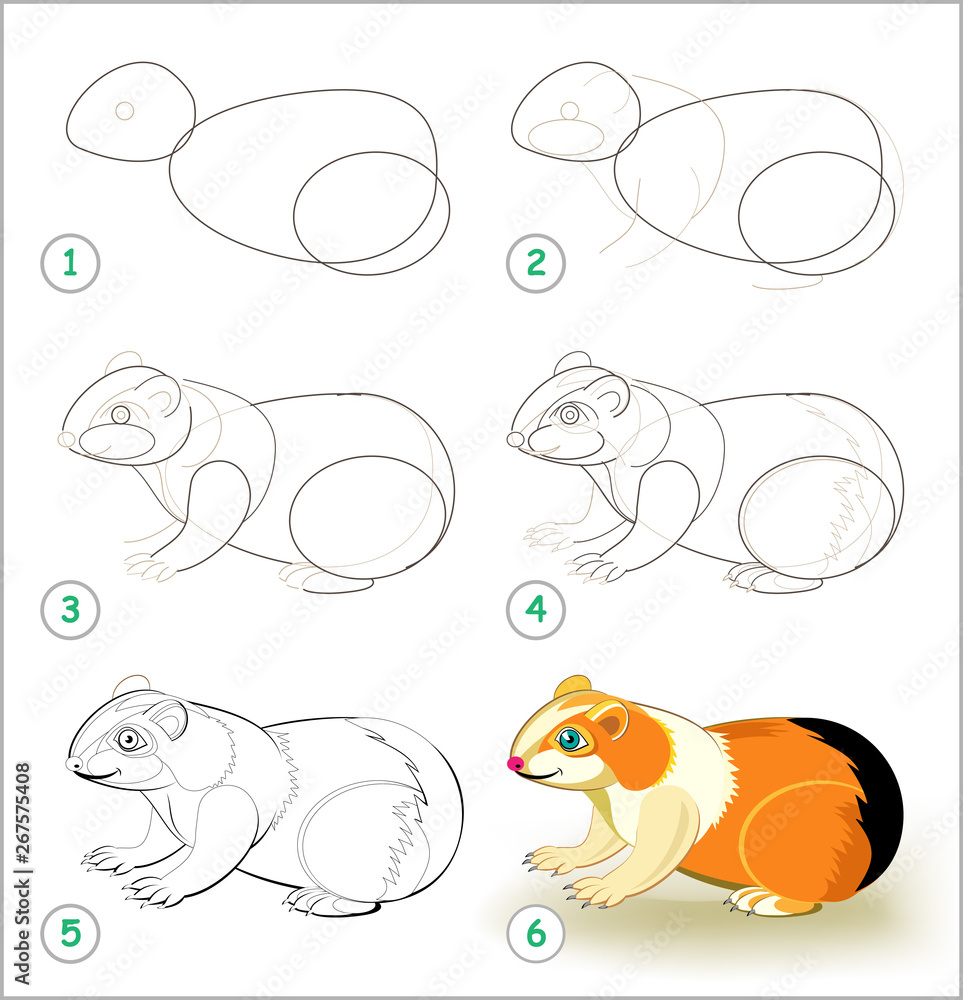 Educational page for kids shows how to learn step by step to draw a ...