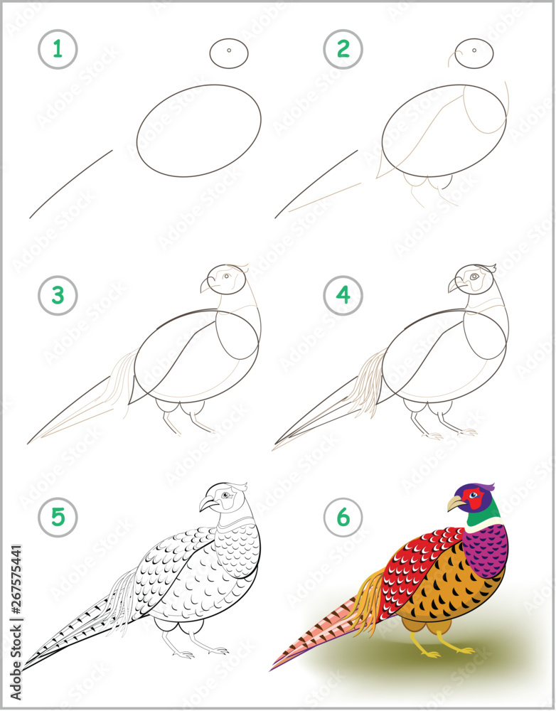 Educational page for kids shows how to learn step by step to draw a ...