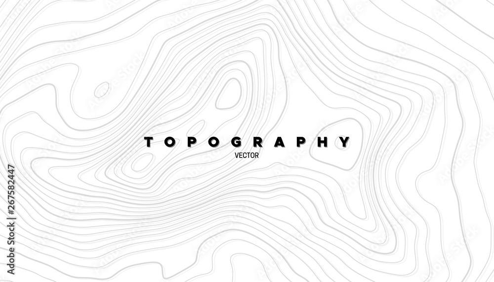Topography relief. Abstract background. Vector illustration. Outline ...