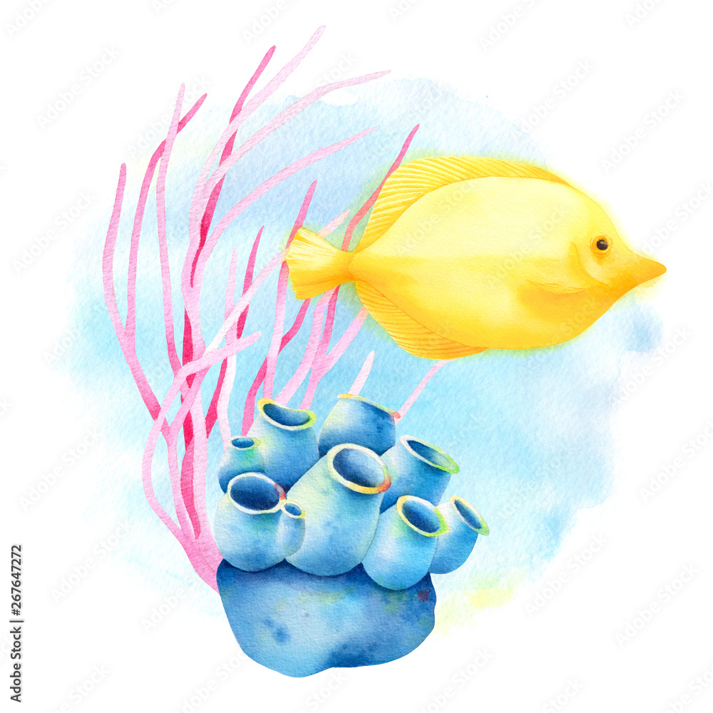 Yellow Tang Drawing