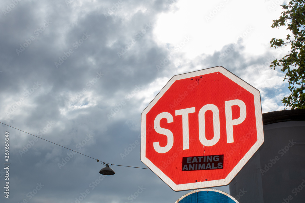 Animals Saying Stop It