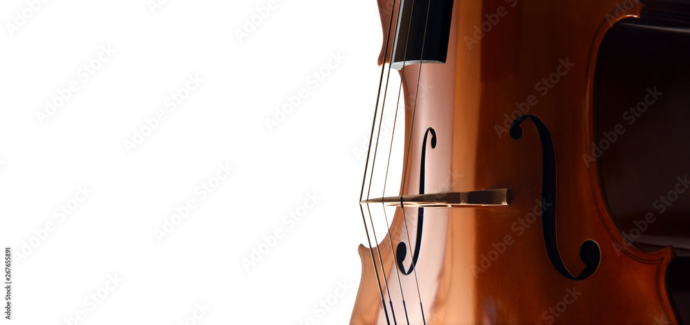 Cello strings closeup on while background Stock Photo | Adobe Stock