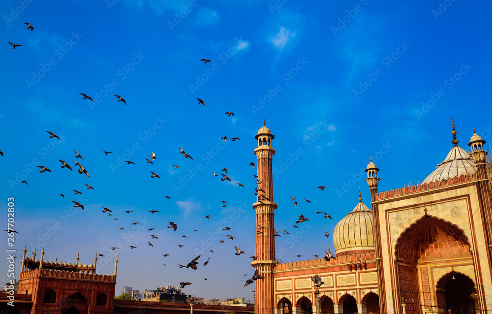A famous huge mosque for prayers. Know for constant presence of pigeon ...