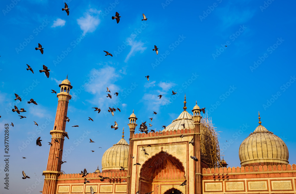 A famous huge mosque for prayers. Know for constant presence of pigeon ...