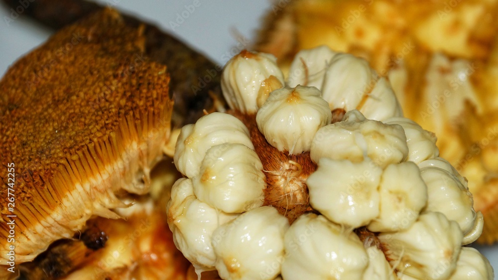Tarap or Terap (Species: Artocarpus odoratissimus) is a fruit native to ...