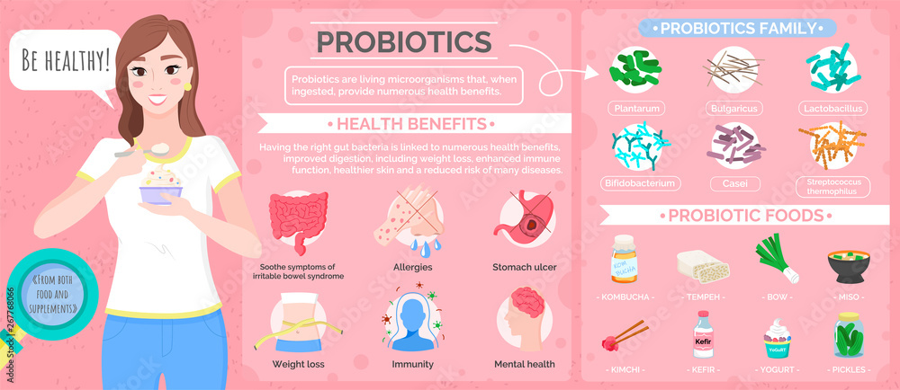 Probiotics poster vector, special food and ingredients tempeh and bow ...