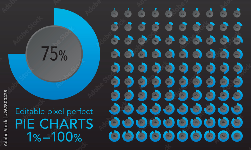 Set of pie chart infographic elements, 1-100%. Stock Vector | Adobe Stock