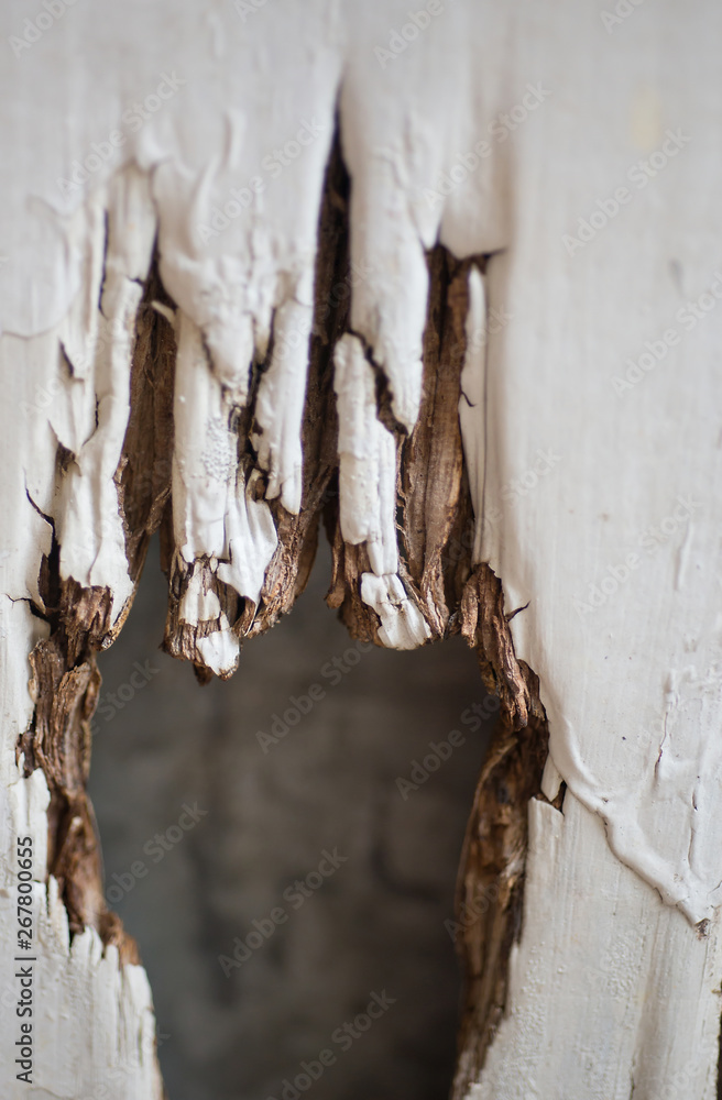 The old white wood surface that has been damaged and worn down o Stock ...