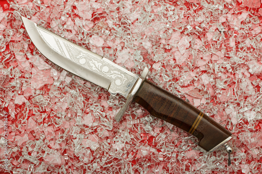 Hunting dagger knife with decorative shell isolated on a white ...
