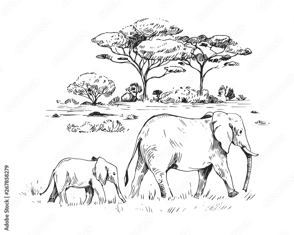 Sketch of the African savanna with trees and elephants. Hand drawn ...