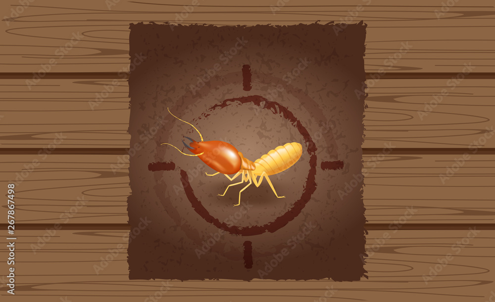 wanted poster of termites on wooden brown wall, empty termite ad on ...