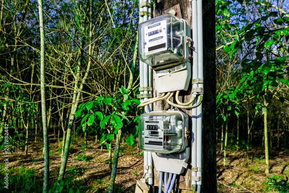 Electricity meter reading with green leaves background, Meter measuring ...