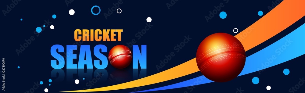 Cricket championship banner,POSTER cricket sports background - Vector ...