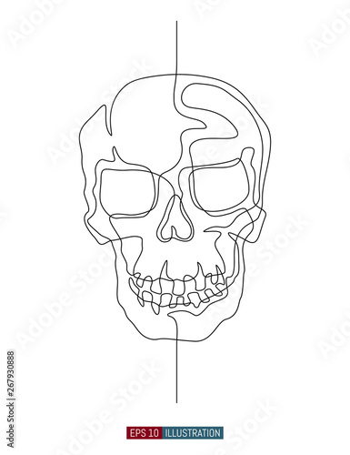 Continuous line drawing of hand drawn skull. Vector illustration ...