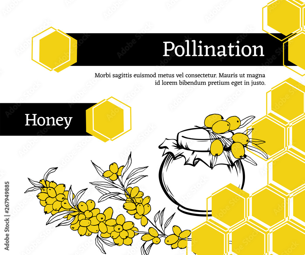 Pollination hand drawn vector illustration. Sea buckthorn, plant sketch ...