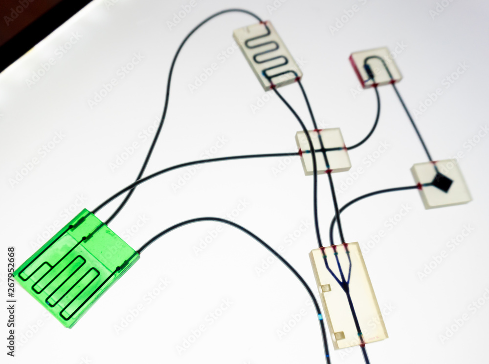 Organ-on-a-chip (OOC) - microfluidic device chip that simulates ...