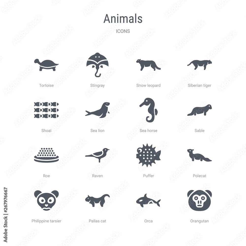 set of 16 vector icons such as orangutan, orca, pallas cat, philippine ...