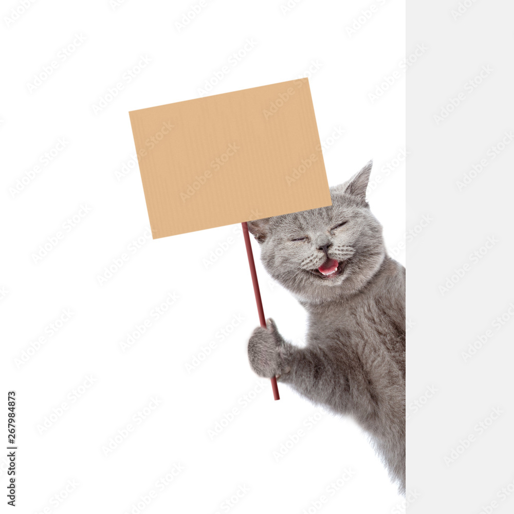 Cat behind white banner holding blank banner mock up on wood stick ...