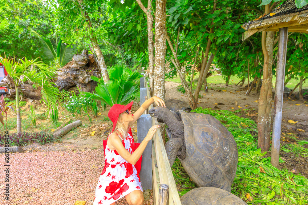 Elegant caucasian tourist woman kissing a standing male of Aldabra ...