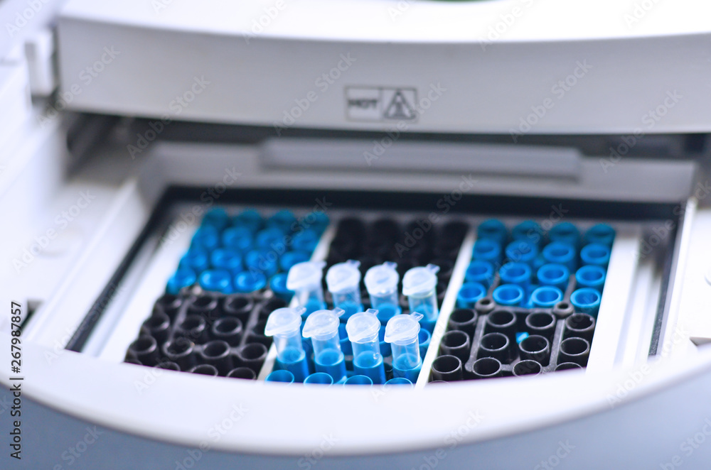 Scientist holding PCR tube put into PCR machine Stock Photo | Adobe Stock