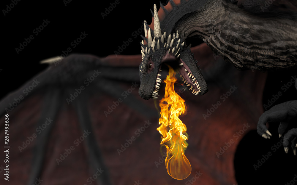 Dragon side and close up view with fire flame throwing black background ...