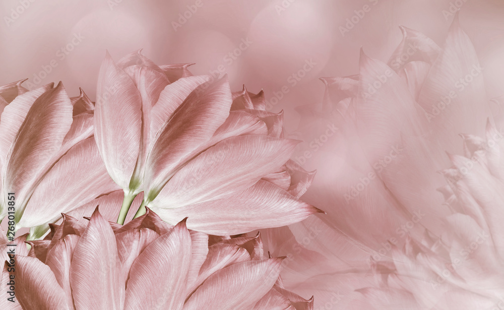 Pink And Brown Floral Background