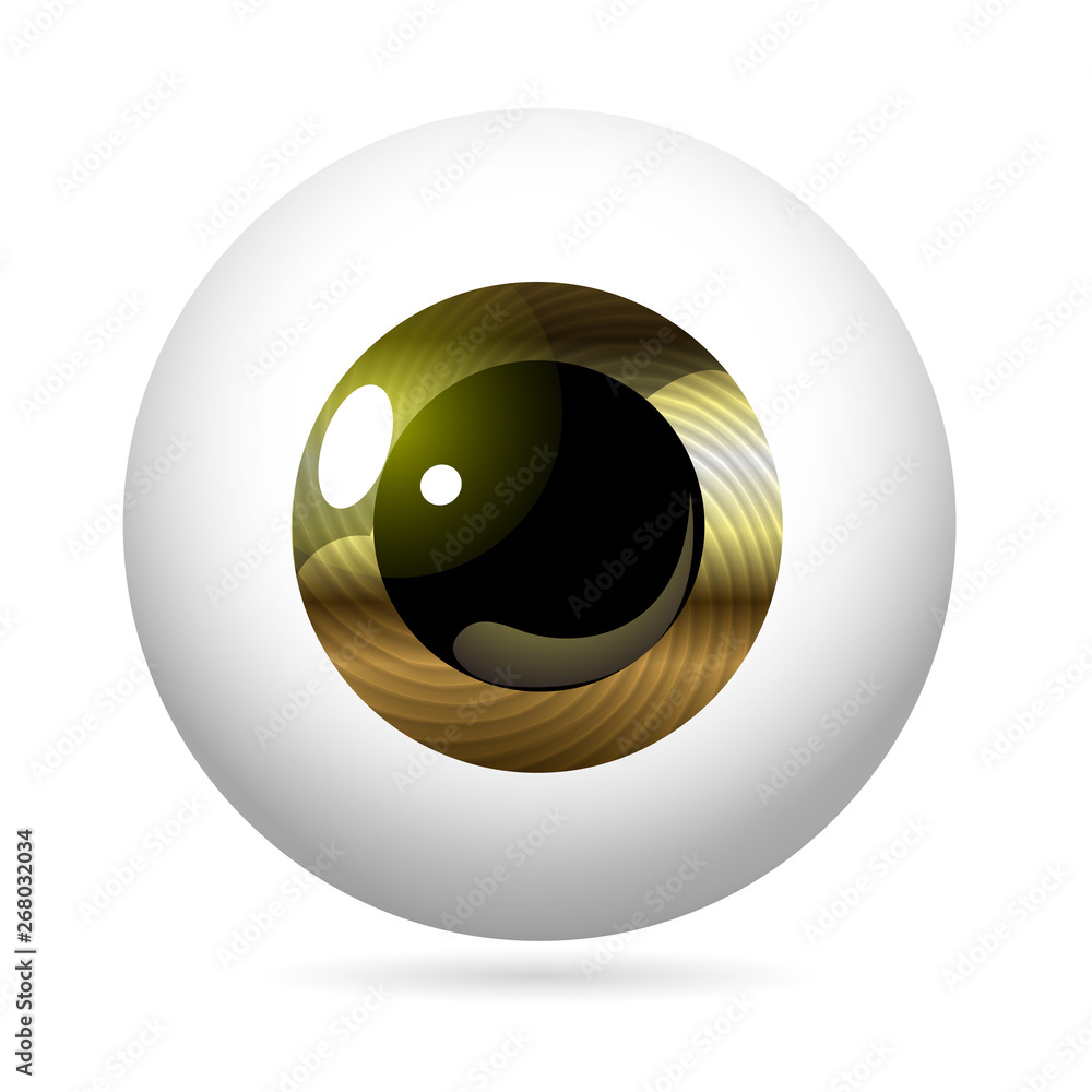 Human eye front view close-up, cornea, retina, pupil. Metallic iris ...