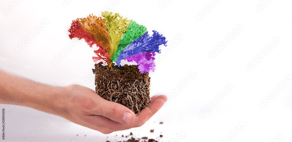 May 17 is an international day against homophobia, transphobia and ...