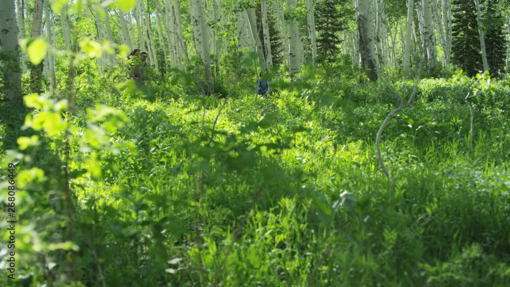 Father helps young boy onto a log, boy carefully balances across Stock ...